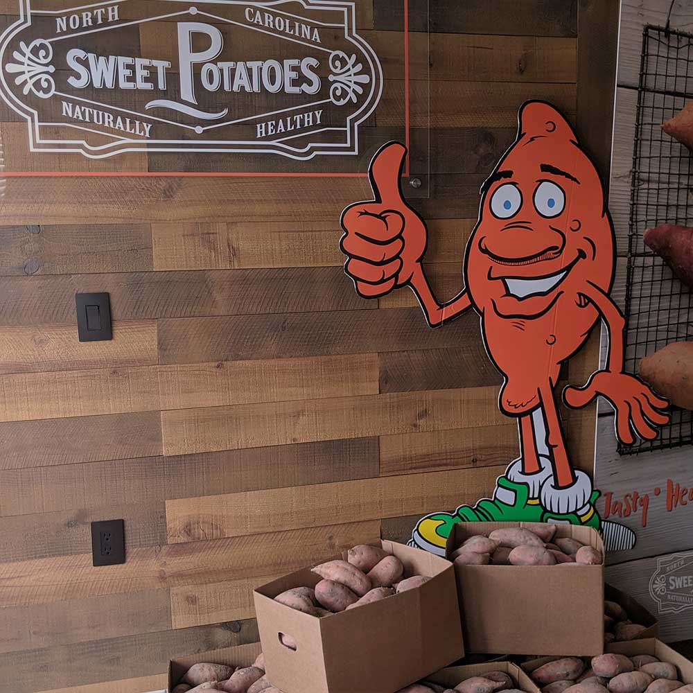 K–2: Learning the Life Cycle of a Sweetpotato - North Carolina ...